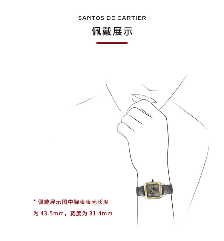 W2SA0028 - Santos-Dumont腕表 大号款 K金 - 精钢色 石英 - 大号表款，石英机芯，黄金和精钢，皮表带 - 卡地亚