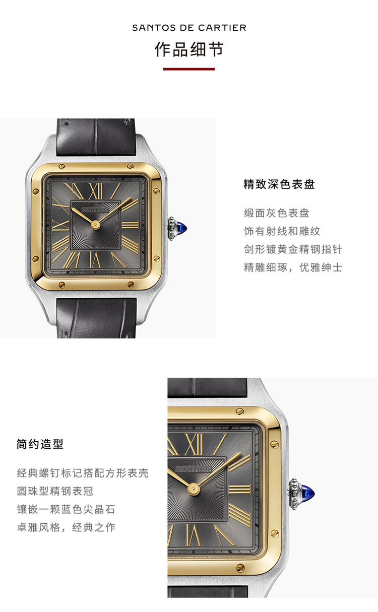 W2SA0028 - Santos-Dumont腕表 大号款 K金 - 精钢色 石英 - 大号表款，石英机芯，黄金和精钢，皮表带 - 卡地亚