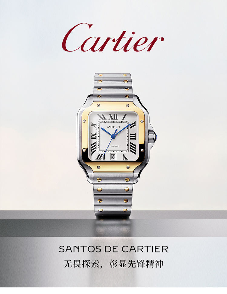 W2SA0028 - Santos-Dumont腕表 大号款 K金 - 精钢色 石英 - 大号表款，石英机芯，黄金和精钢，皮表带 - 卡地亚