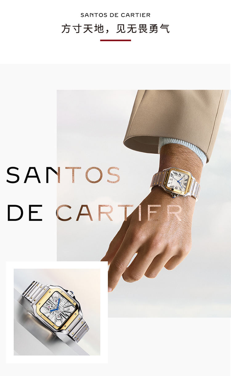 W2SA0028 - Santos-Dumont腕表 大号款 K金 - 精钢色 石英 - 大号表款，石英机芯，黄金和精钢，皮表带 - 卡地亚